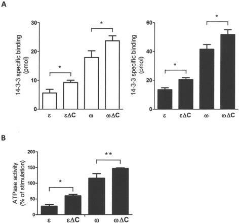 A Peptide Binding Assay 005 Nmol Of Bl15vp Biotinyl Peptide Were Download Scientific Diagram