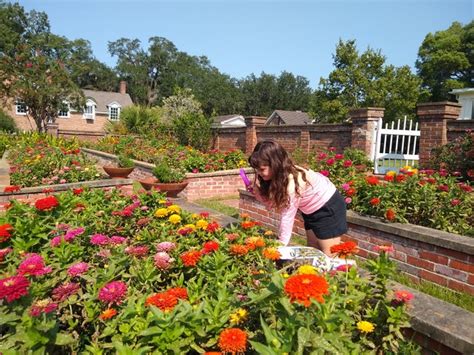 Be A Citizen Scientists For Annual Pollinator Count