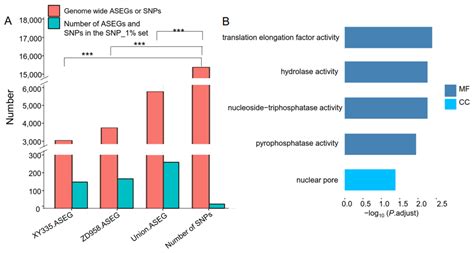 Identification Of Allele Specific Expression Genes Associated With