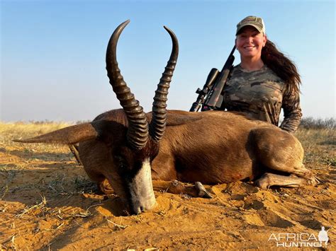 Black Springbok Hunt South Africa
