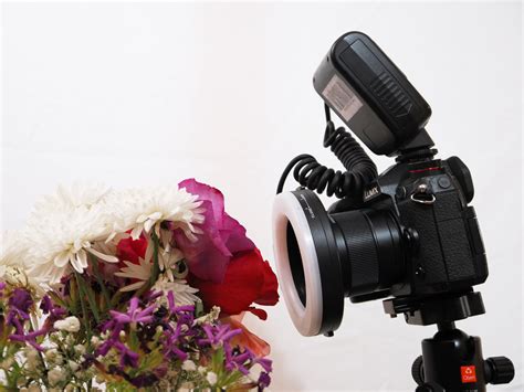 mastering flash photography for macro and close up photos
