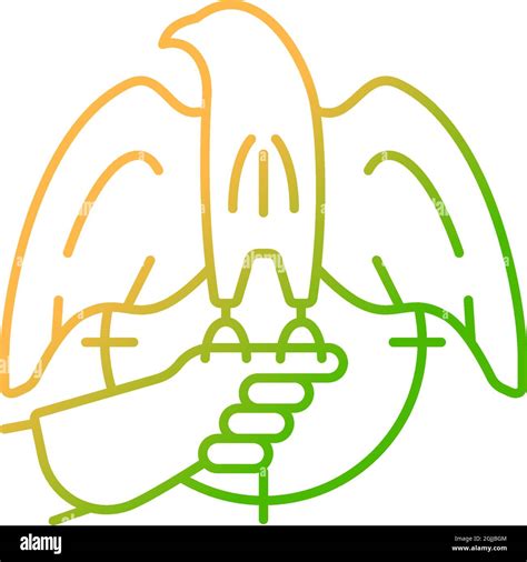 Falconry Hunting Gradient Linear Vector Icon Stock Vector Image And Art Alamy