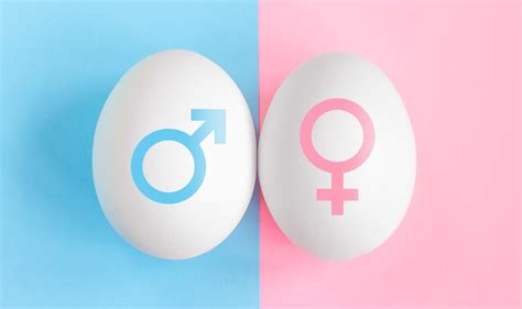 The New Frontier To Avoid Male Chick Culling In Ovo Sexing Using