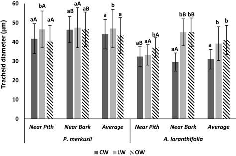 Tangential Tracheid Diameter Of Cw Lw And Ow Of Pinus Merkusii And