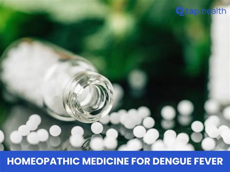 Homeopathic Medicine For Dengue Fever A Guide