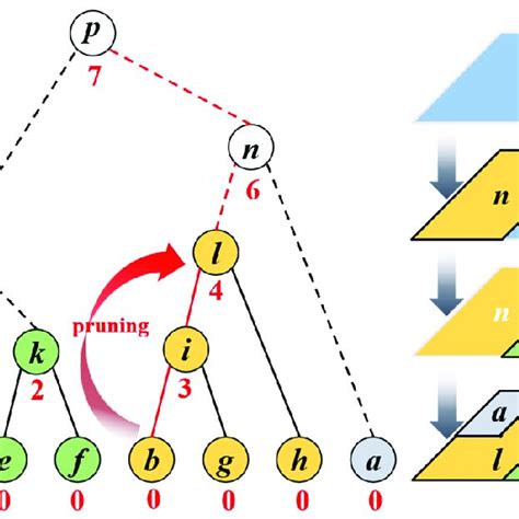The Branch Pruning Diagrams With Pruning Factor í µí± í µ 4 Left