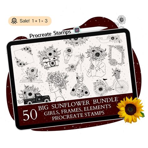 50 Sunflower Procreate Stamps Sunflower Procreate Brushes Floral