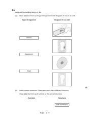 Understanding Cells: Structure, Functions, and Adaptations | Course Hero