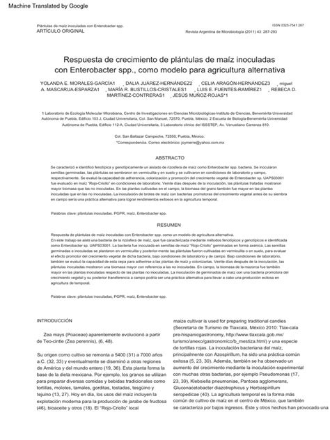 Enterobacter Spp Pdf Maíz Las Bacterias