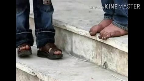 مهر مادری نسبت به کودکان Youtube