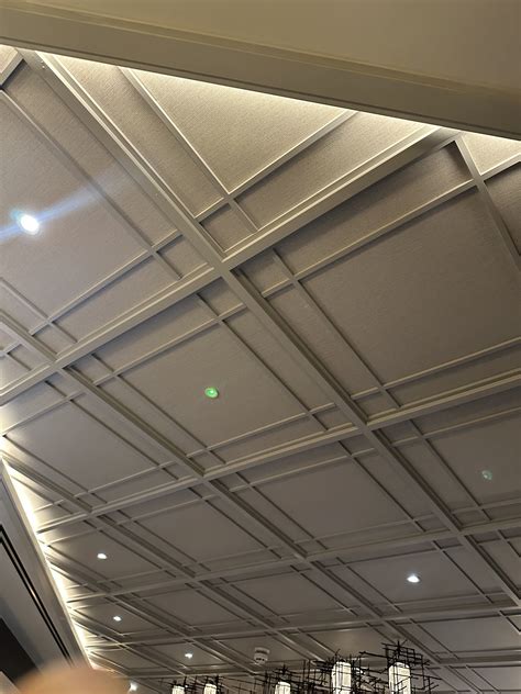 Pin By Gauri Jain On Ceiling In 2025 Interior Ceiling Design Architecture Ceiling Ceiling