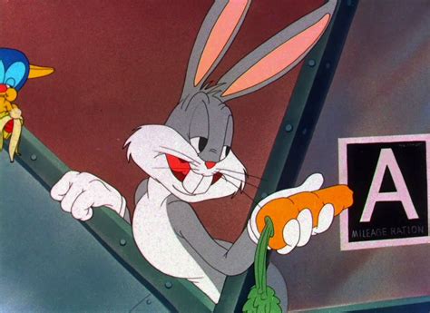 Falling Hare Looney Tunes Bugs Bunny Looney Tunes Show Looney