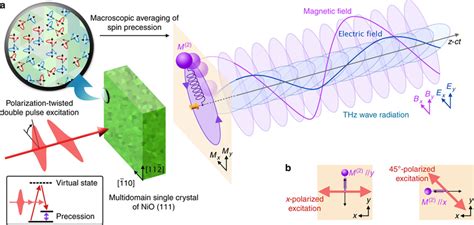 Schematic Illustrations Of The Experiment A Vectorial Magnetic Download Scientific Diagram