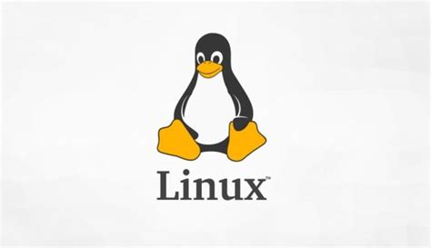 Linux入门之cp指令详解 知乎