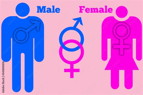 Male Female Sexual Orientation Icon Symbol Shape Sign Logo Website Gender Sexual Concept Web