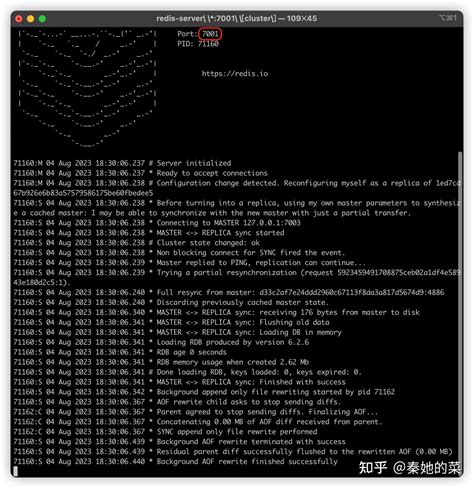 保姆级Redis集群cluster本地案例手把手操作指南含常见问题以及处理方式 知乎