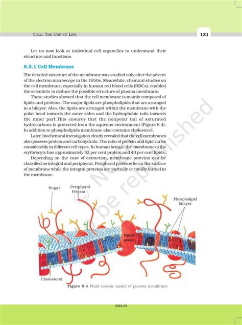 Ncert Book For Class 11 Biology Chapter 8 Cell The Unit Of Life