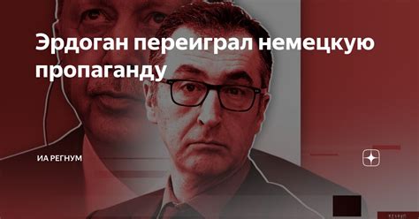 Эрдоган переиграл немецкую пропаганду ИА Регнум Дзен