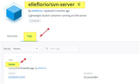 Svn 服务 安装部署 Docker（compose） 方式docker Svn Csdn博客