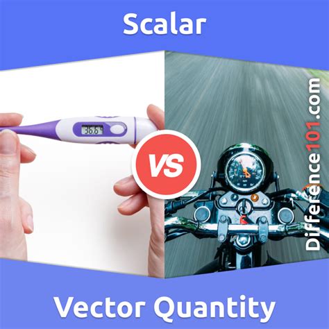 Scalar Vs Vector Quantity 5 Key Differences Pros Cons Similarities Difference 101