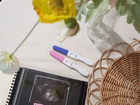 임신 착상혈 시기 착상혈 생리 차이 5가지 착상혈 통증 색 양상 W 임신 착상 증상 정리 네이버 블로그