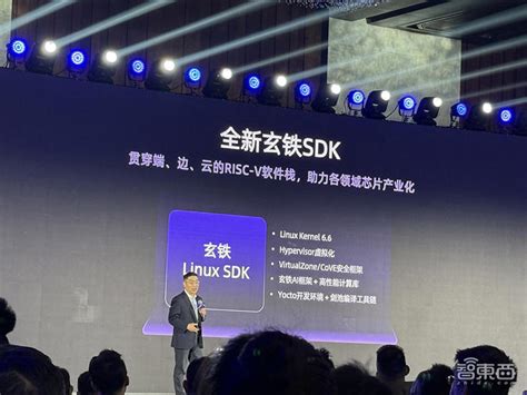 Deepseek带给risc V新机遇，阿里玄铁亮出首款服务器级risc V Cpu大招