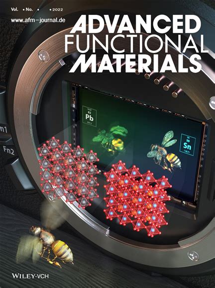 성균관대 중앙대 공동 연구팀 비납계 페로브스카이트 포토디텍터 개발
