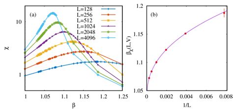 fss analysis of the magnetic susceptibility in the finite temperature