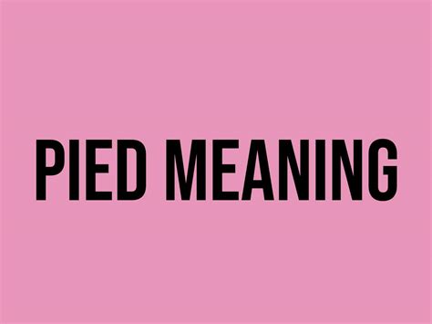 What Does Pied Meaning Mean? - Meaning, Uses and More - FluentSlang