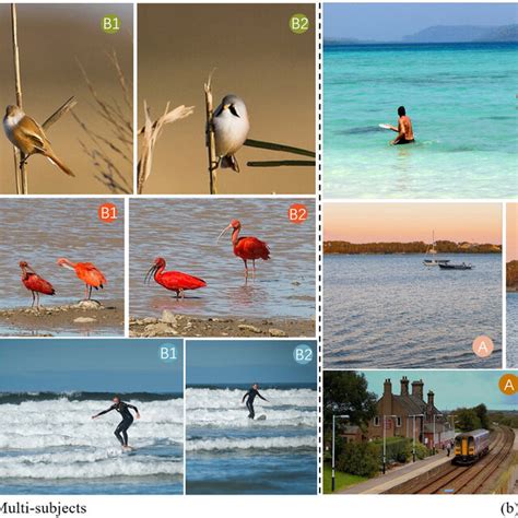 Subject Aware Composition Dataset Sacd Examples A Images With Download Scientific Diagram