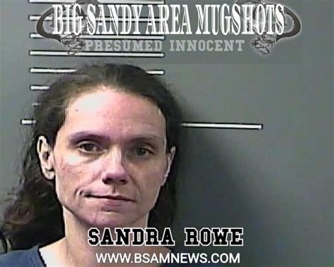 Sandra Rowe Big Sandy Area Mugshots News
