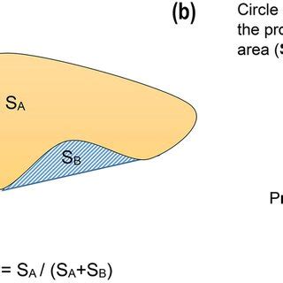 Definitions Of Particle Shape Factors Download Scientific Diagram