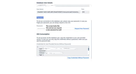 Access Sap Hana Cloud Database Underneath Of Sap D Sap Community