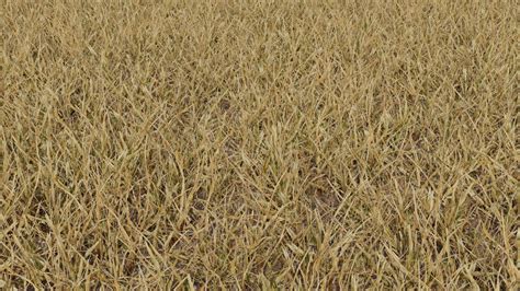 Pro Grass For Blender Cycles And Eevee Blender Market
