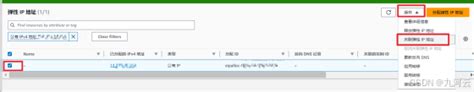 将弹性 ip 地址绑定到 ec2 实例 aws ec2添加弹性ip csdn博客