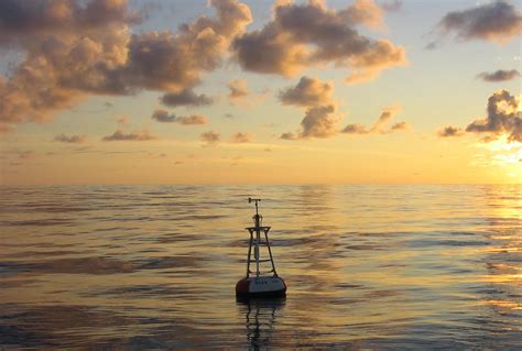 Global Ocean Observing For Earth Day Global Ocean Monitoring And