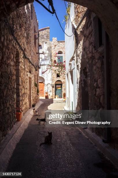 62 Vessa Stock Photos, High-Res Pictures, and Images - Getty Images