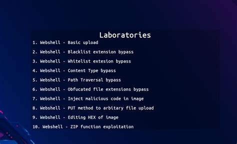 Ibrahim Husić On Linkedin Bypassfileupload Onlinelearning Cybersecurity Skillsdevelopment…