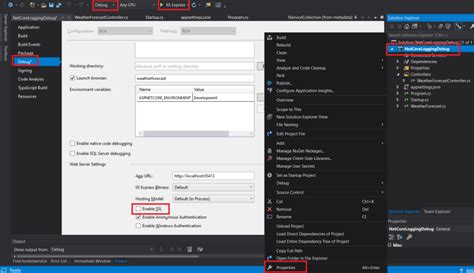 Logging Net Core App To Debug Window Dmitri Galejev