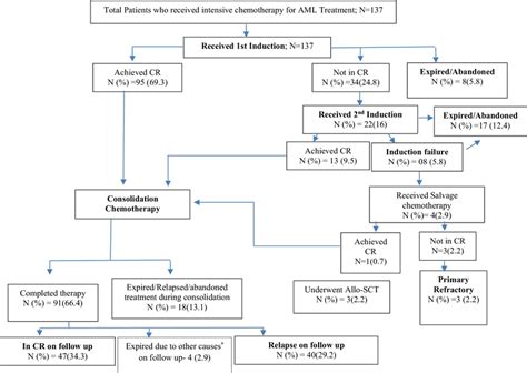 Flowchart Showing Aml Patient Recruitment And Attrition During Therapy Flowchart Showing Aml Patient Recruitment And Attrition During Therapy