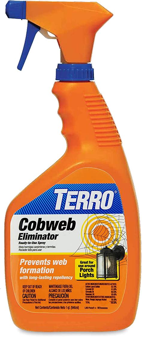 Cobweb Removal Pest