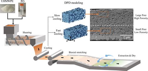 Understanding The Pore Structure Evolution Of Polyethylene Separator With Dissipative Particle