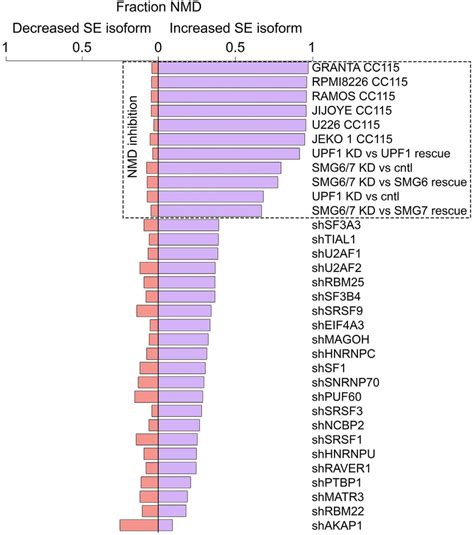 Nmd Prediction From Setranslatenmd Fraction Predicted Nmd Isoforms Are Download Scientific