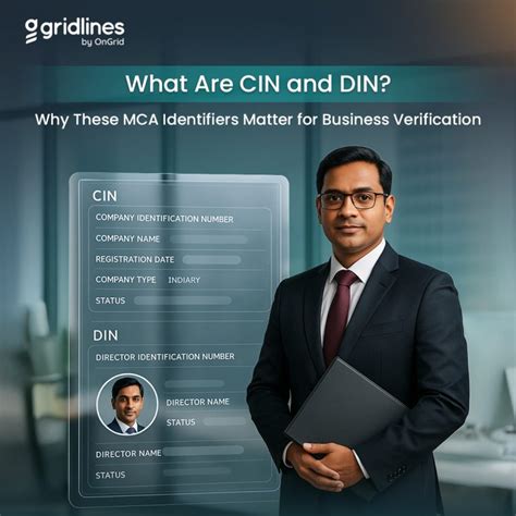 Understanding The Cin Number A Comprehensive Guide