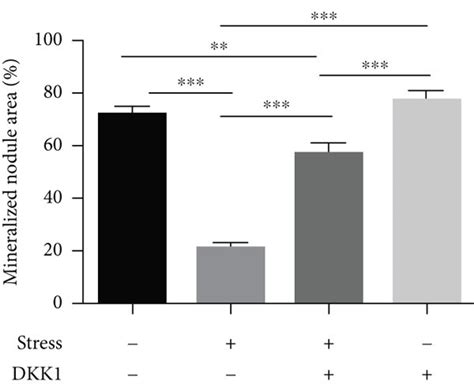 The Wnt β Catenin Signaling Pathway Analysis Of Genes In Response To Download Scientific