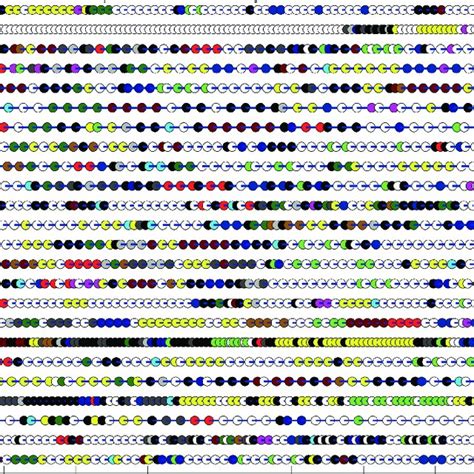 Sequence Of Anatomical Planes Or Fetal Structures Obtained Over Time In