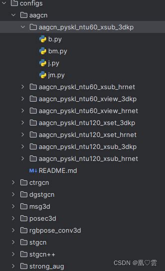 Pyskl框架下的模型配置与训练过程详解 Csdn博客