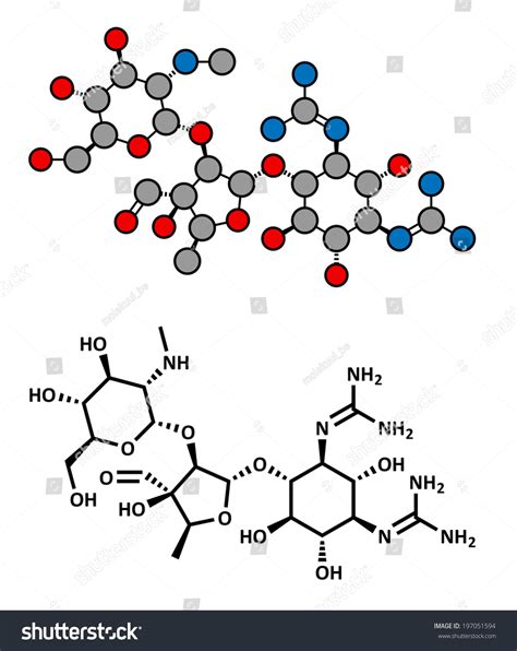 Streptomycin Tuberculosis Antibiotic Aminoglycoside Class Chemical Stock Illustration 197051594