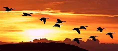 Migrating To Linux