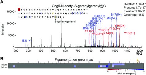 A Representative Modified Proteoform Of Gng5 A Tandem Mass Spectrum